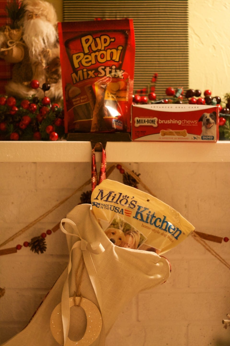 Adorable DIY Bone Stocking Craft - Modern Day Moms